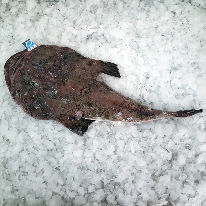 Galerija – Marinblu | Proizvodnja-predelava-veleprodaja.